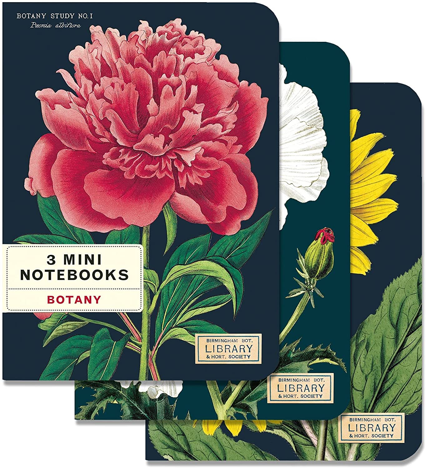 Botany Mini Notebooks, 3-pack - Three 10x14cm notebooks, one each of ...